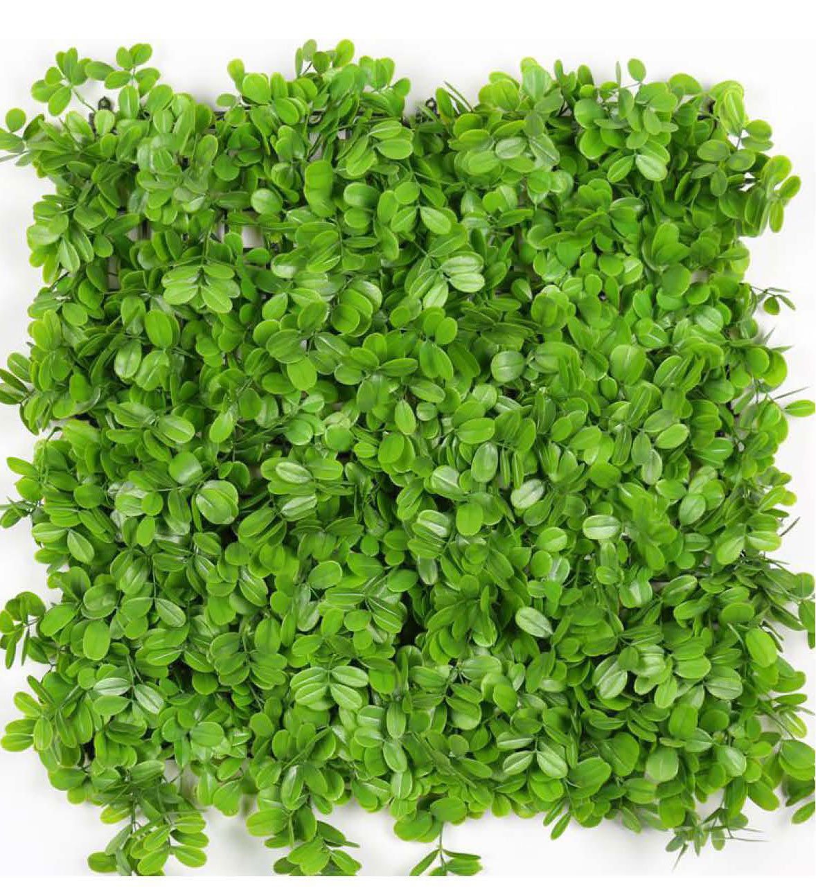 Artificial Finished Green Wall ⋆ Emirates Home