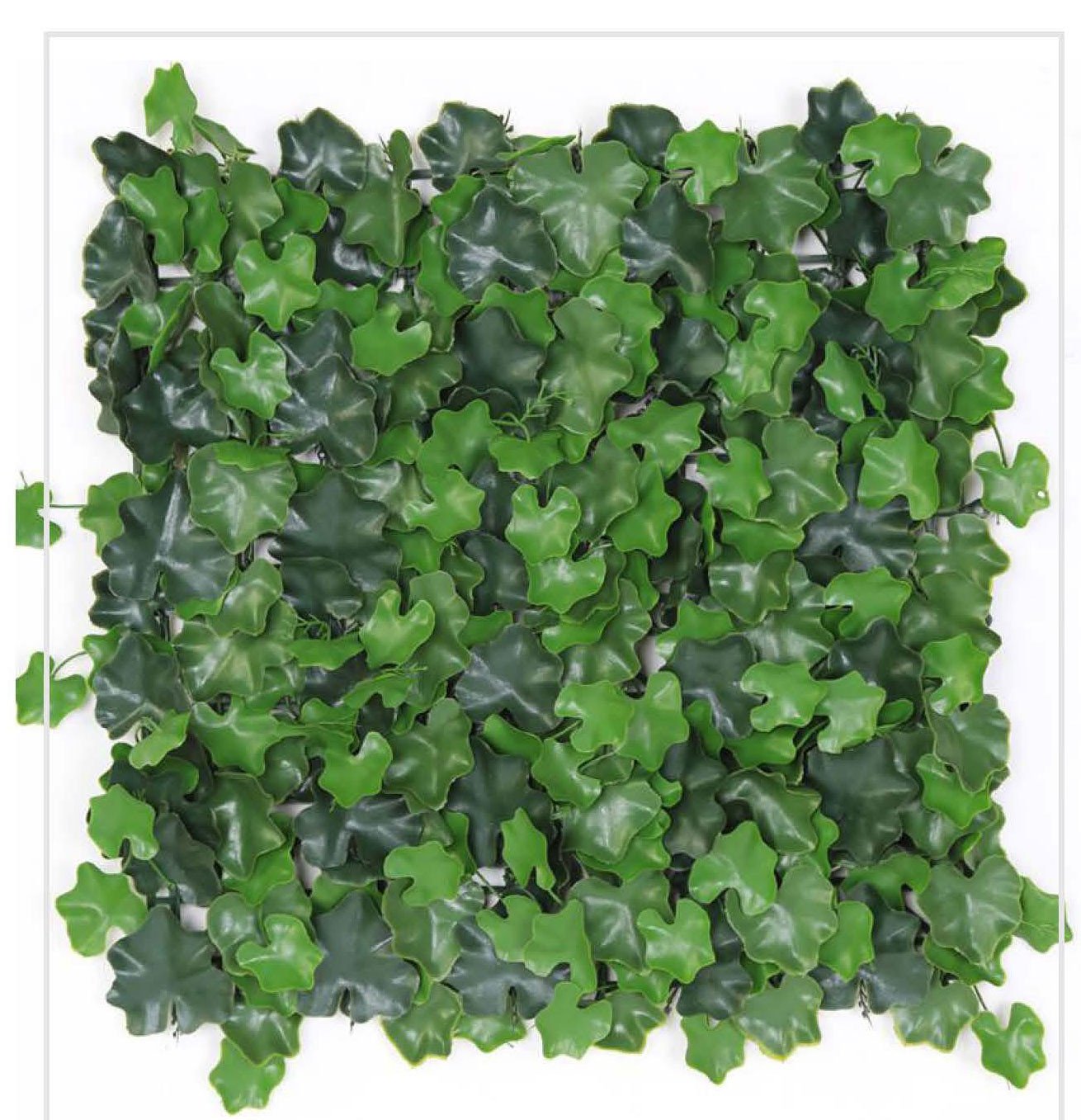 Artificial Cheerful Green Wall ⋆ Emirates Home